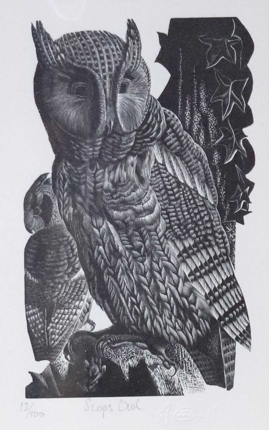 Lot 497 - James T A Osbourne/Scops Owl/limited edition