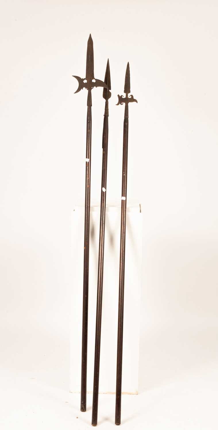 Lot 419 - Two sergeant's halberds and a spear, early