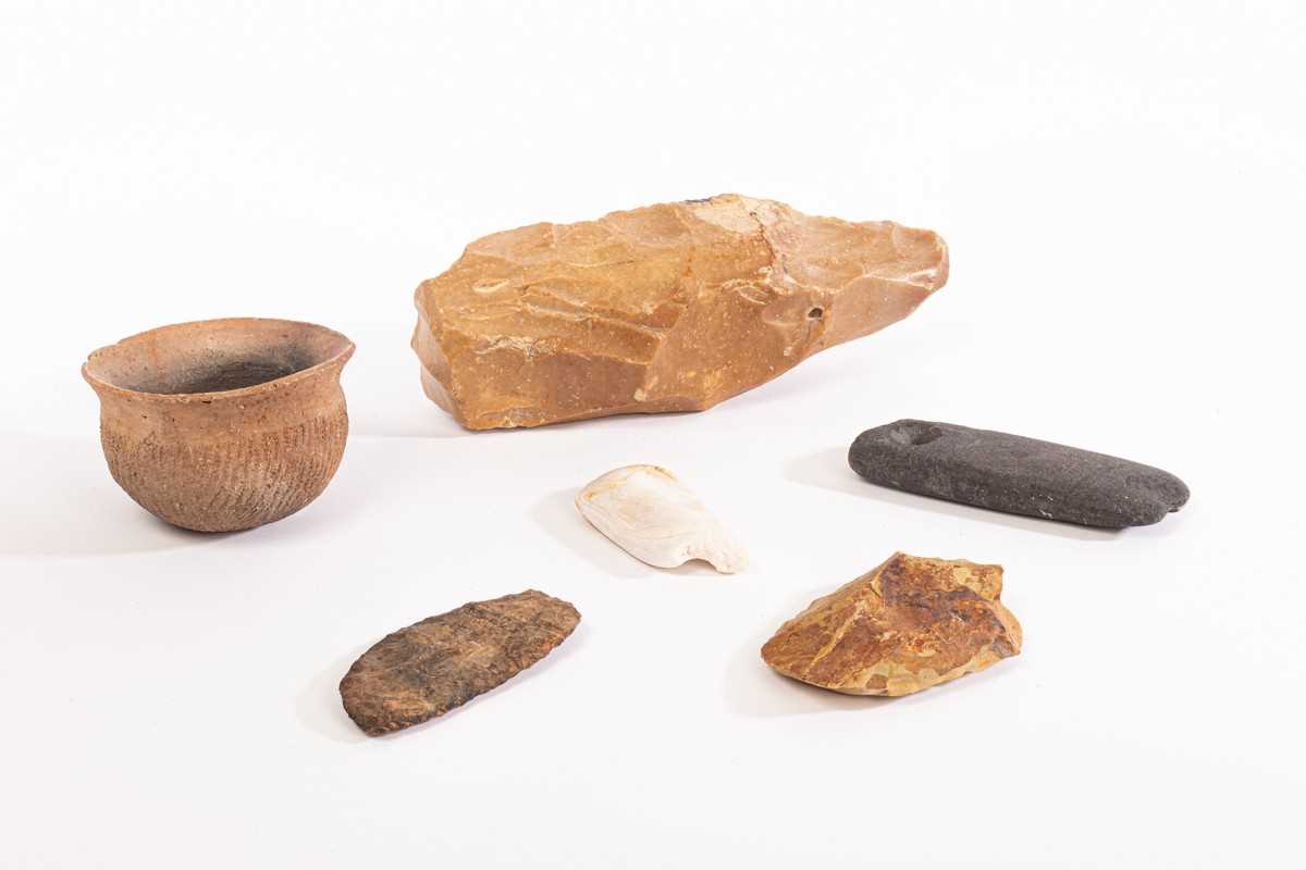 Lot 1 - A collection of Neolithic tools, comprising a