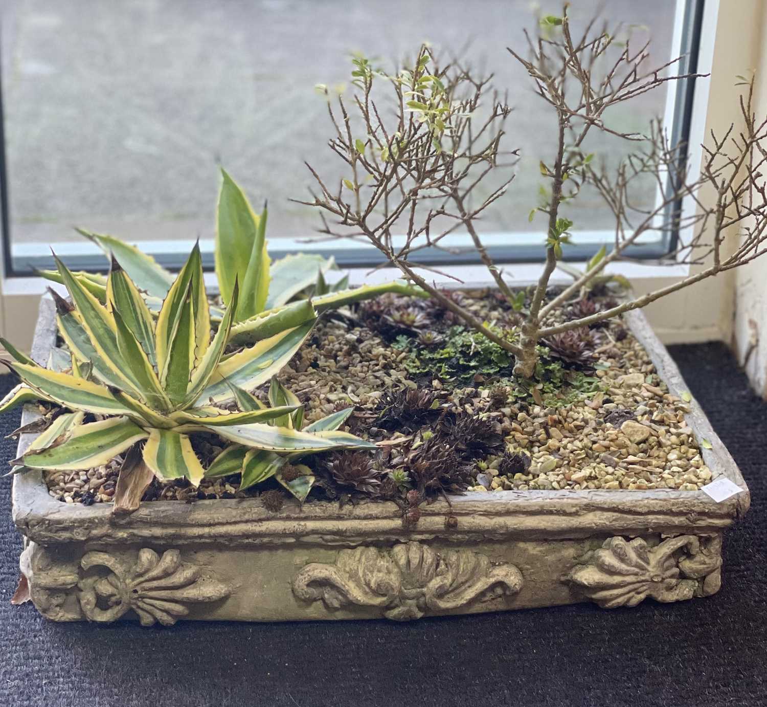 Lot 555 - A shallow lead planter