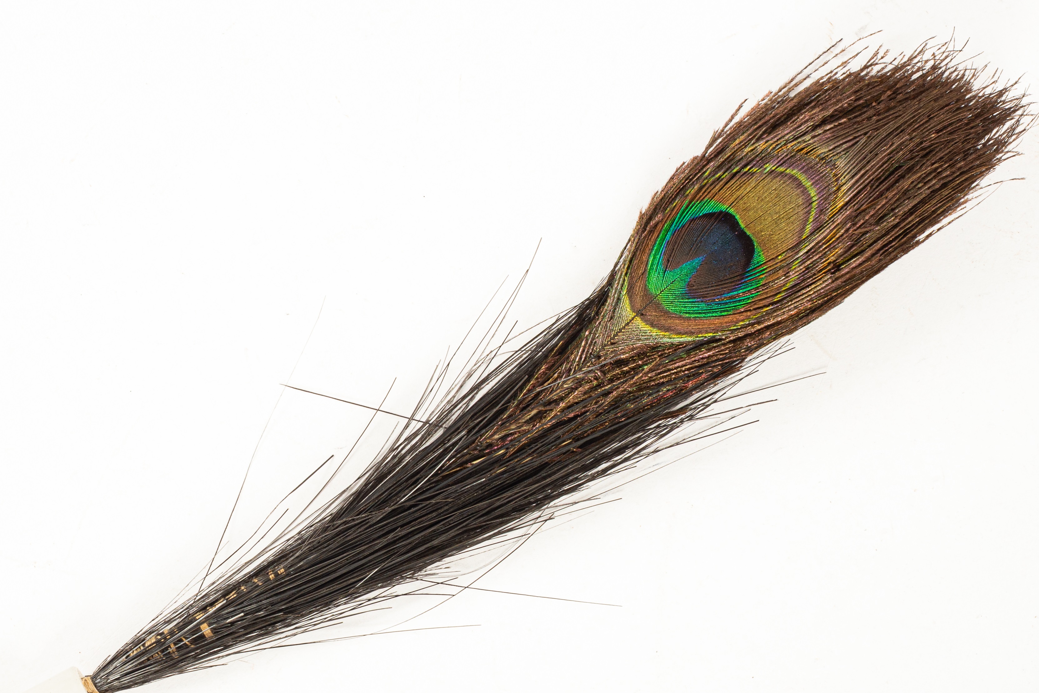 Lot 129 - A Chinese double-eyed peacock feather for