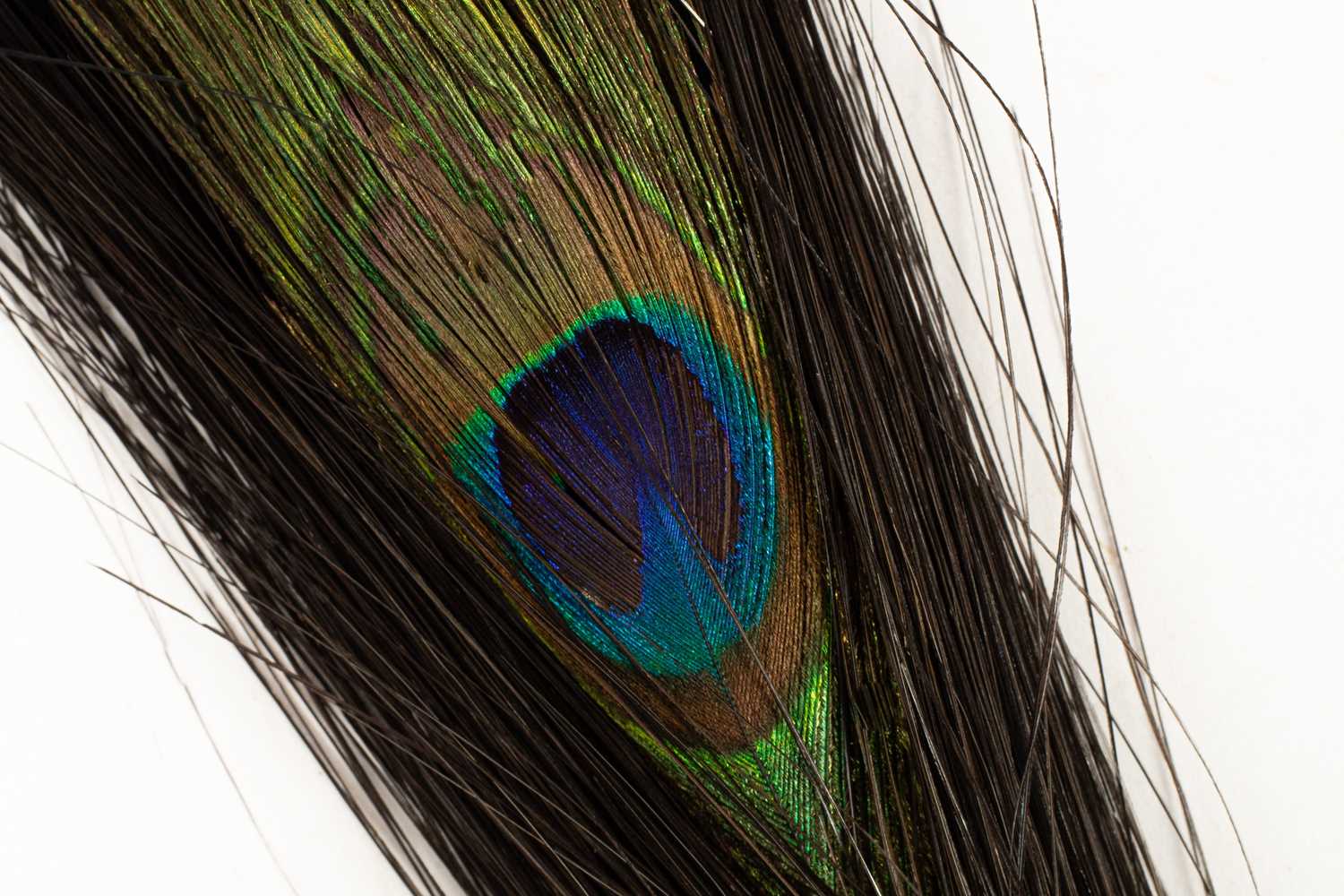 Lot 130 - A Chinese double-eyed peacock feather